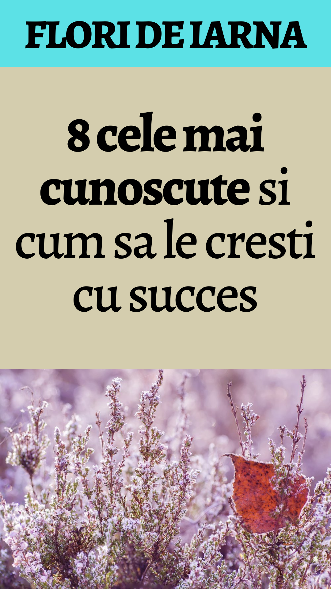 Flori de iarna: 8 cele mai cunoscute si cum sa le cresti cu succes ...