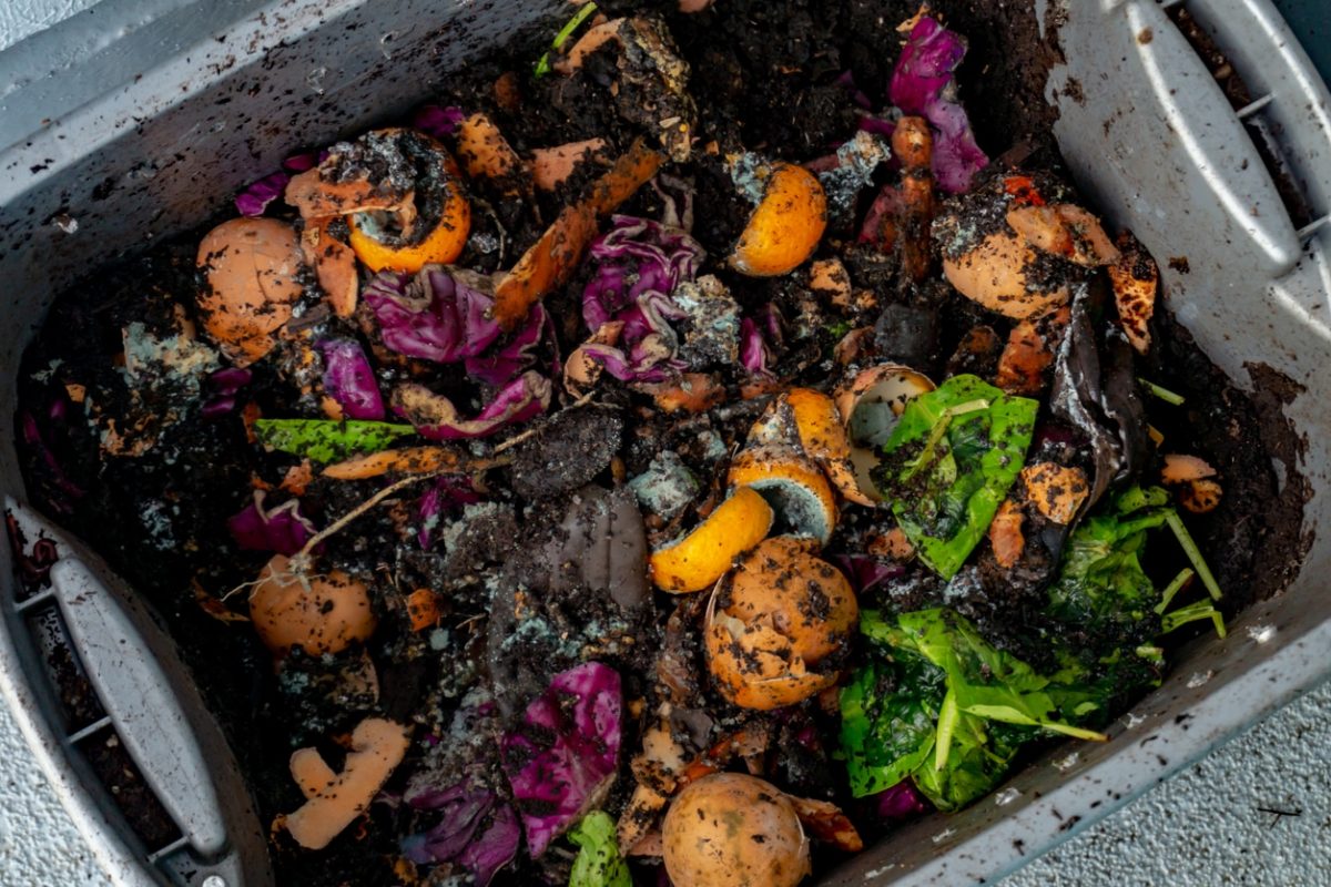 7 alimente pe care să nu le pui niciodată în compost - IdeiPractice.ro