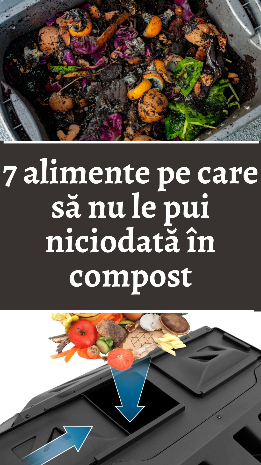 7 alimente pe care să nu le pui niciodată în compost - IdeiPractice.ro