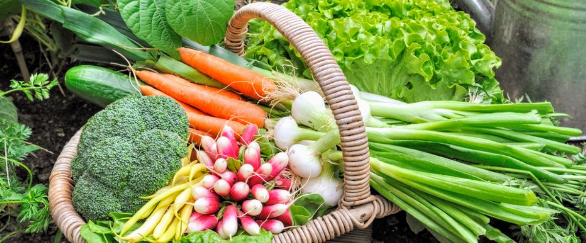 Fructe și legume care pot fi plantate la umbră - IdeiPractice.ro