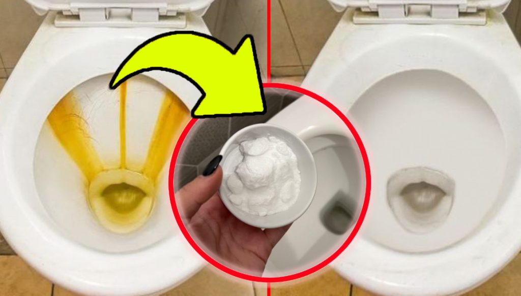 Tartrul în toaletă: cum să scapi de el cu o solutie naturala ...