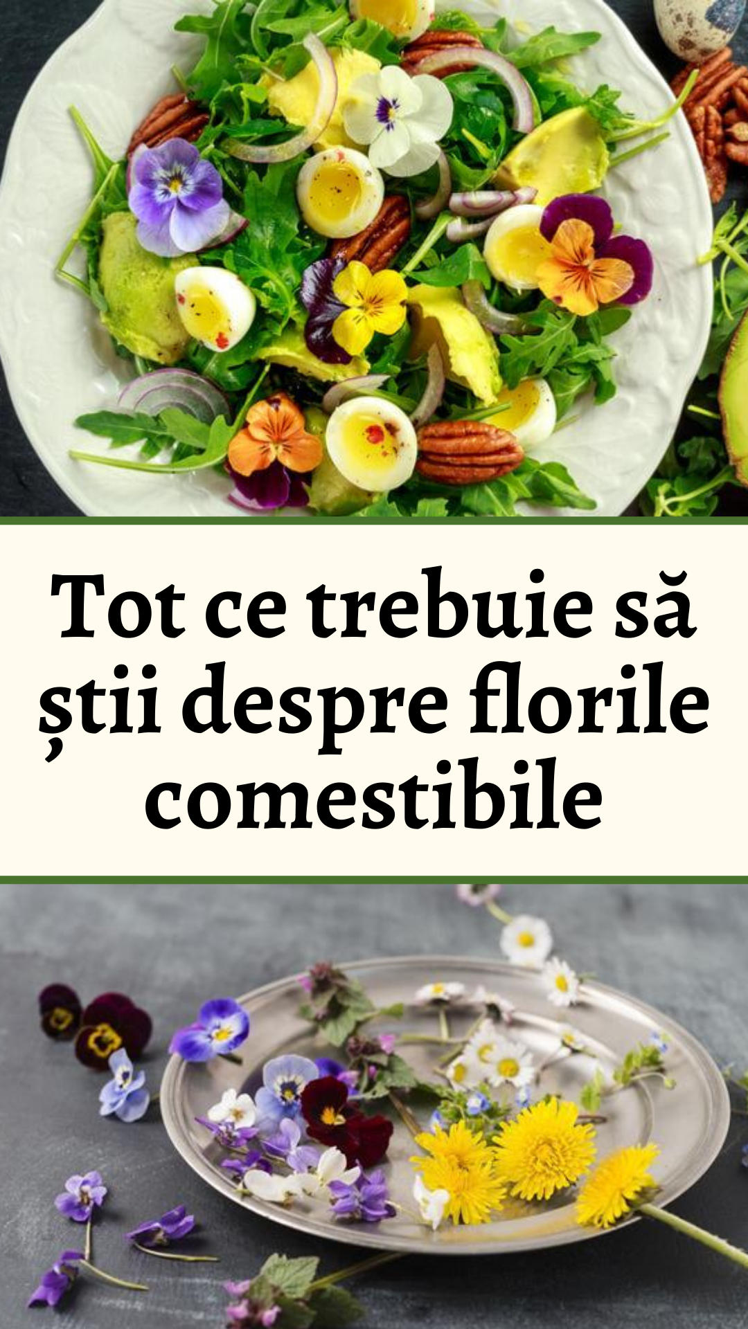 Tot ce trebuie să știi despre florile comestibile - IdeiPractice.ro